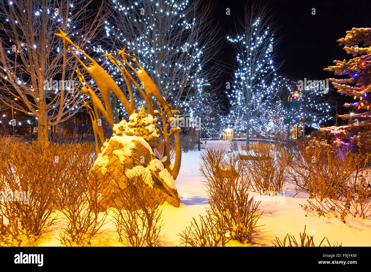 Christmas Snow Trees Night Lights High Resolution Stock Photography and ...