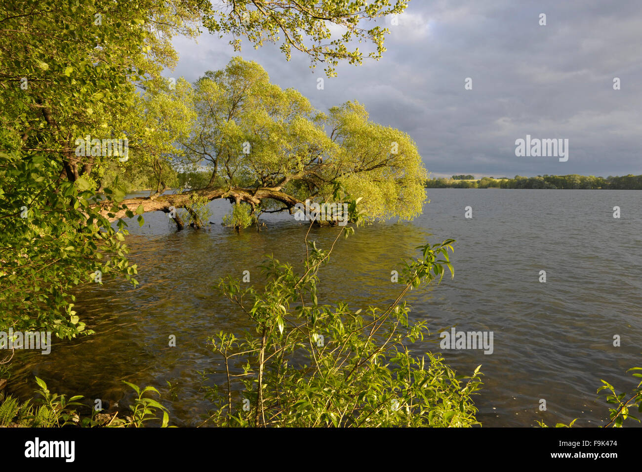 Pojezierze pomorskie hi-res stock photography and images - Alamy