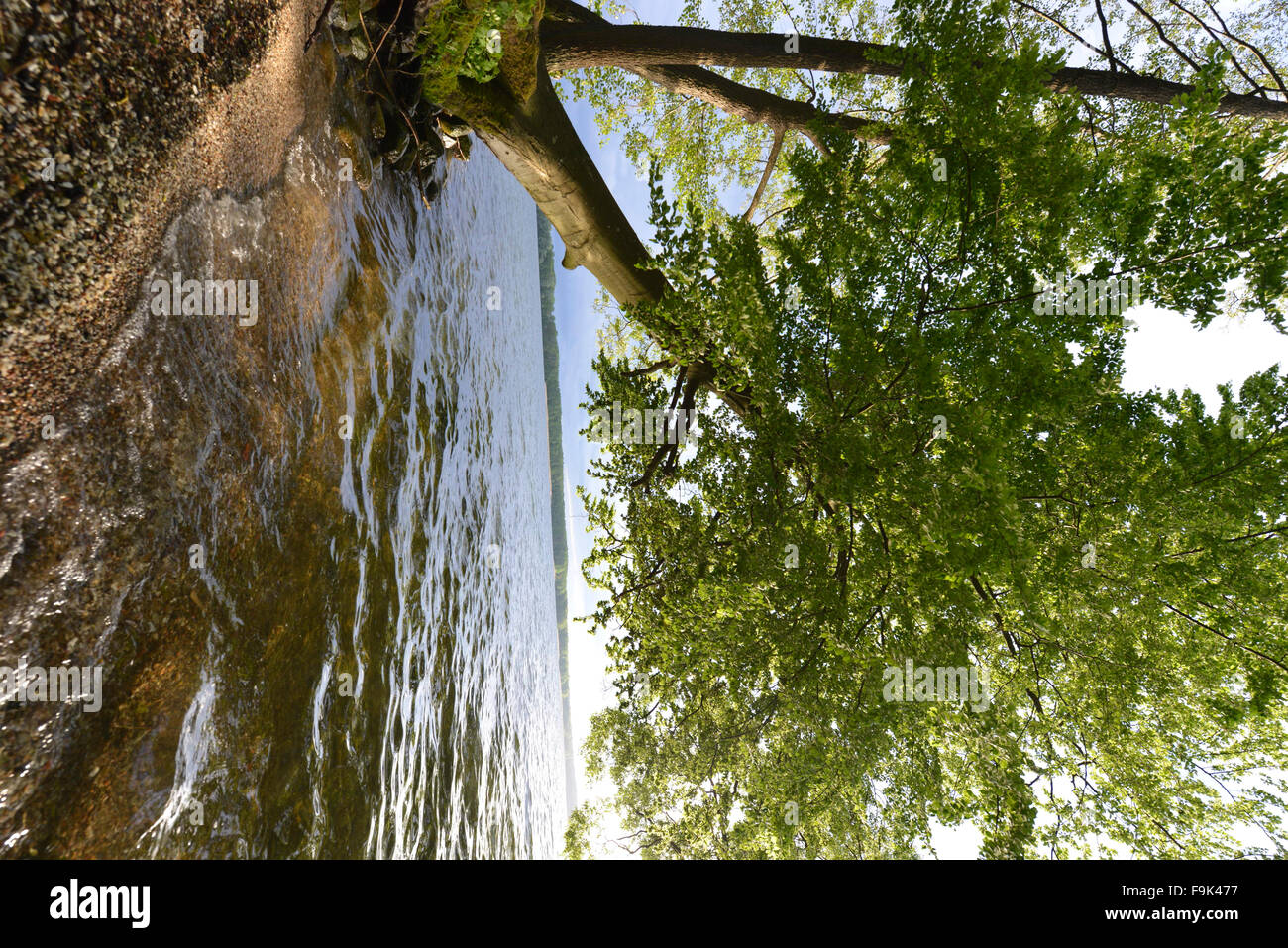 drawsko lake (jezioro drawsko), pomeranian lakeland (pojezierze ...