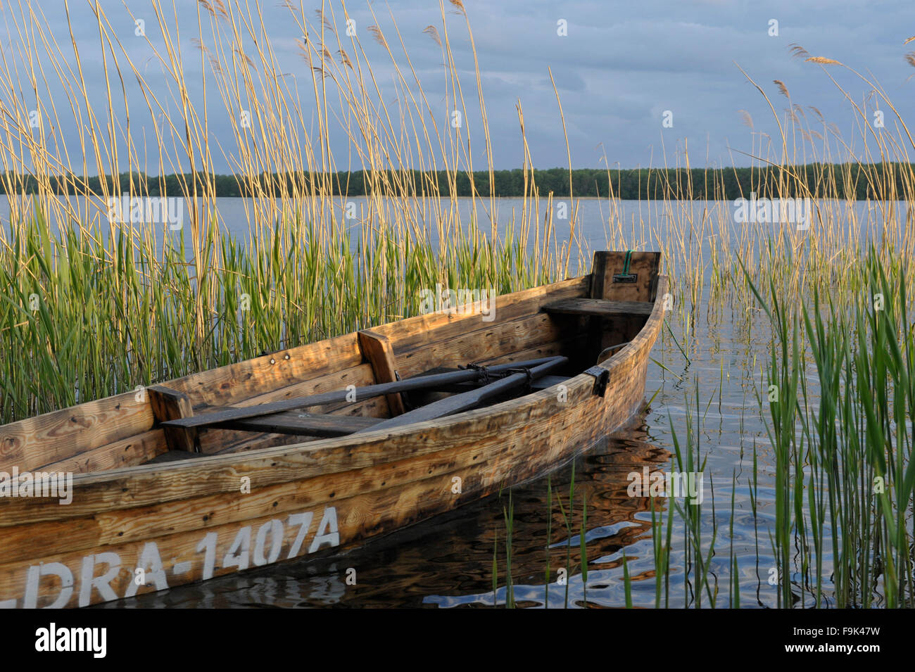 wooden rowboat, drawsko lake (jezioro drawsko), pomeranian lakeland ...