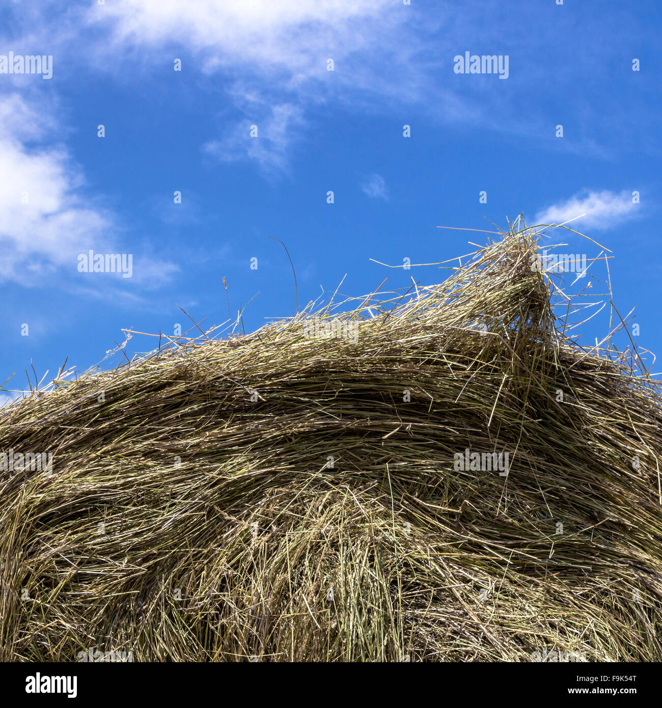 Close up top of a bale of hay with blue sky and clouds in the ...
