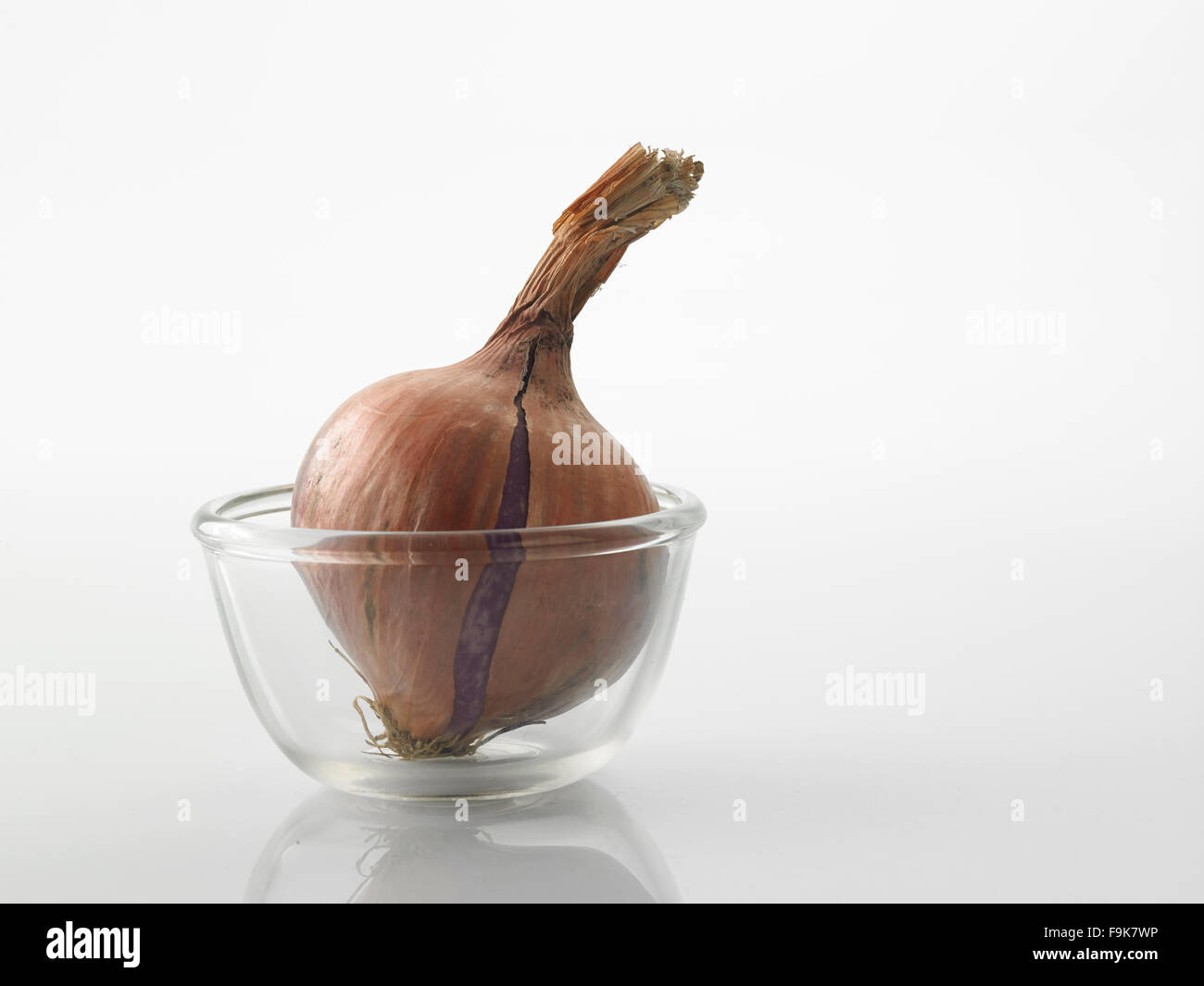 whole onion in a transparent glass bowl Stock Photo - Alamy