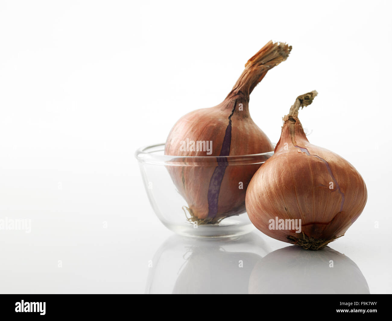whole onion in a transparent glass bowl Stock Photo - Alamy
