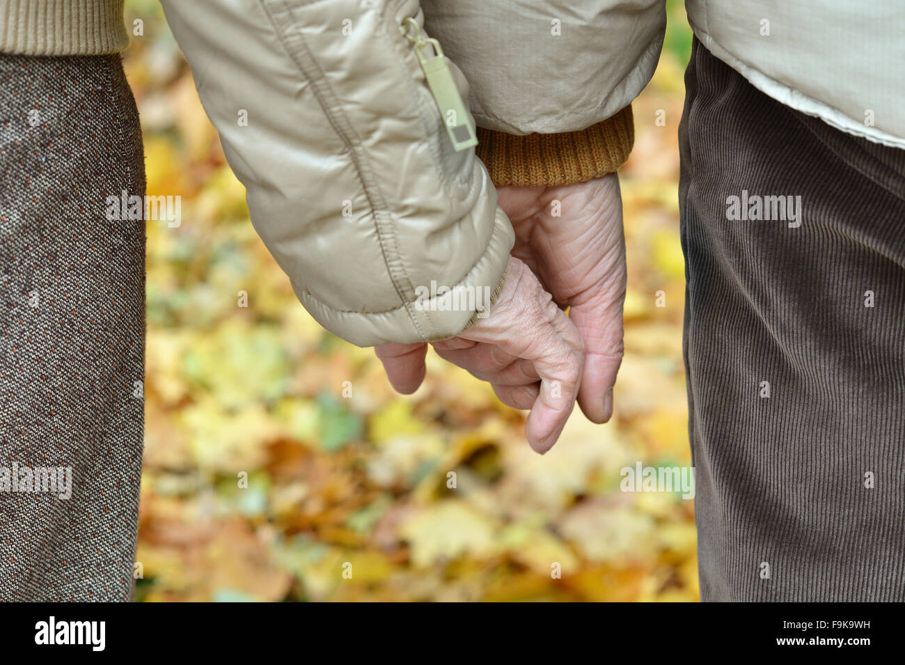 hands of a loving couple Stock Photo - Alamy