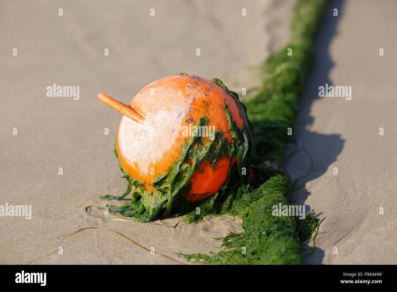 An orange plastic beach float buoy in the mud in the sand. Shallow ...
