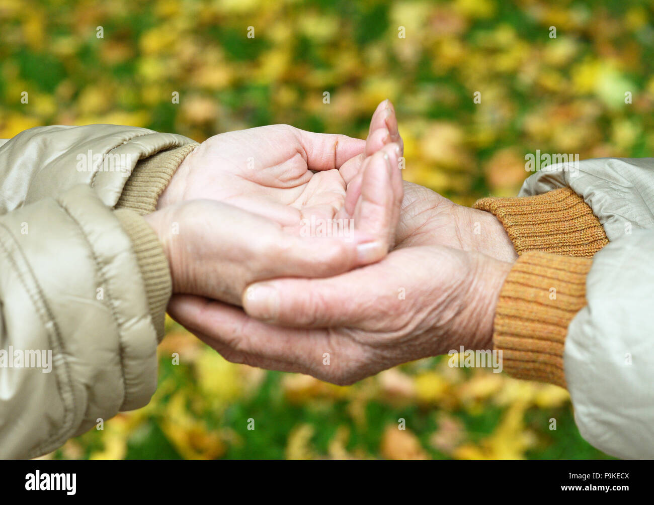 elderly couple holding hands Stock Photo - Alamy