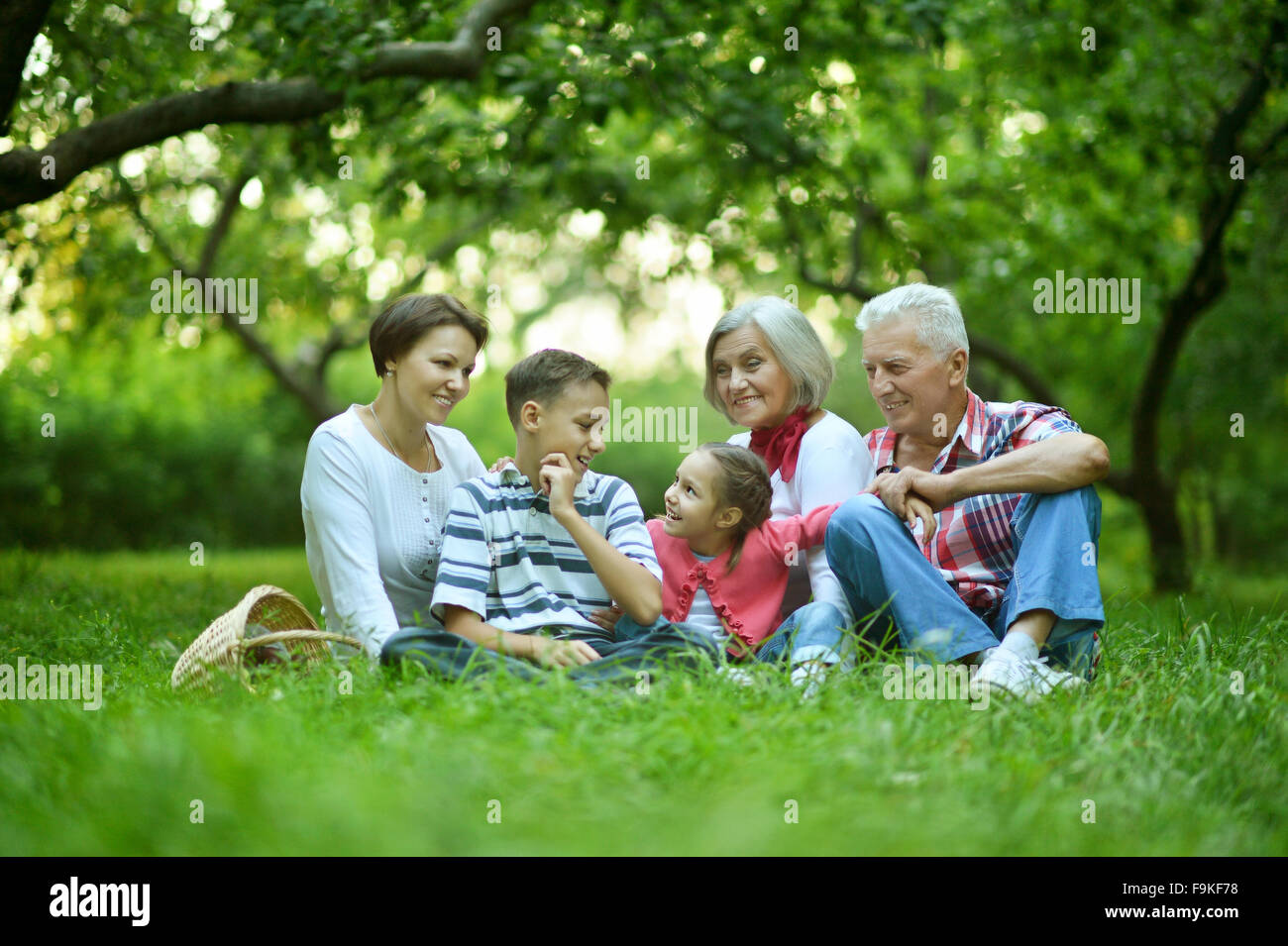 Family resting in summer park Stock Photo - Alamy