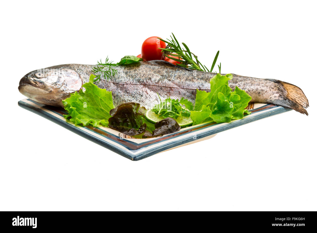 Fresh raw rainbow trout Stock Photo - Alamy