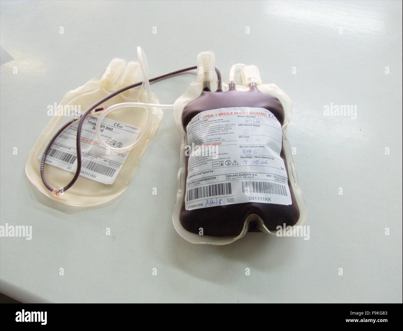 blood donate bag on white background Stock Photo - Alamy