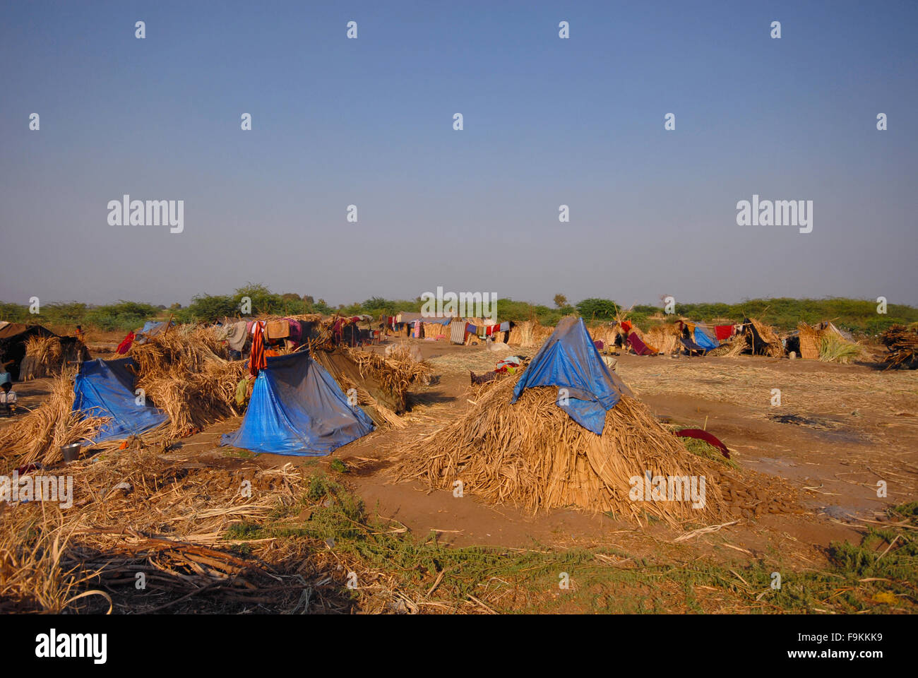A view of settlements of Sugarcane cutter workers. Toranmal ...