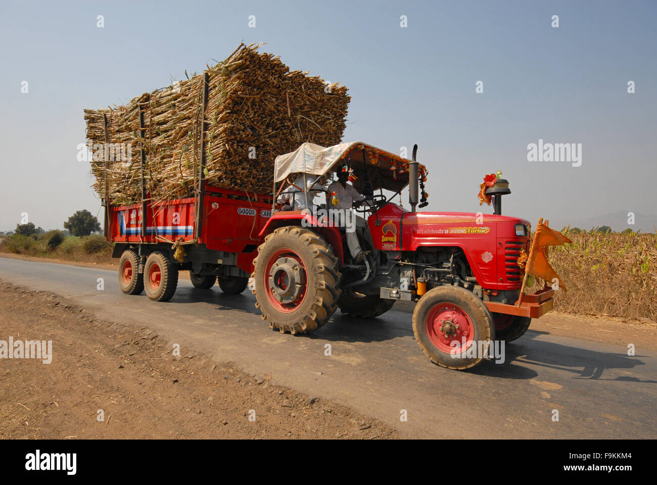 A tractor loaded with sugarcanes. Toranmal, Maharashtra, India Stock ...
