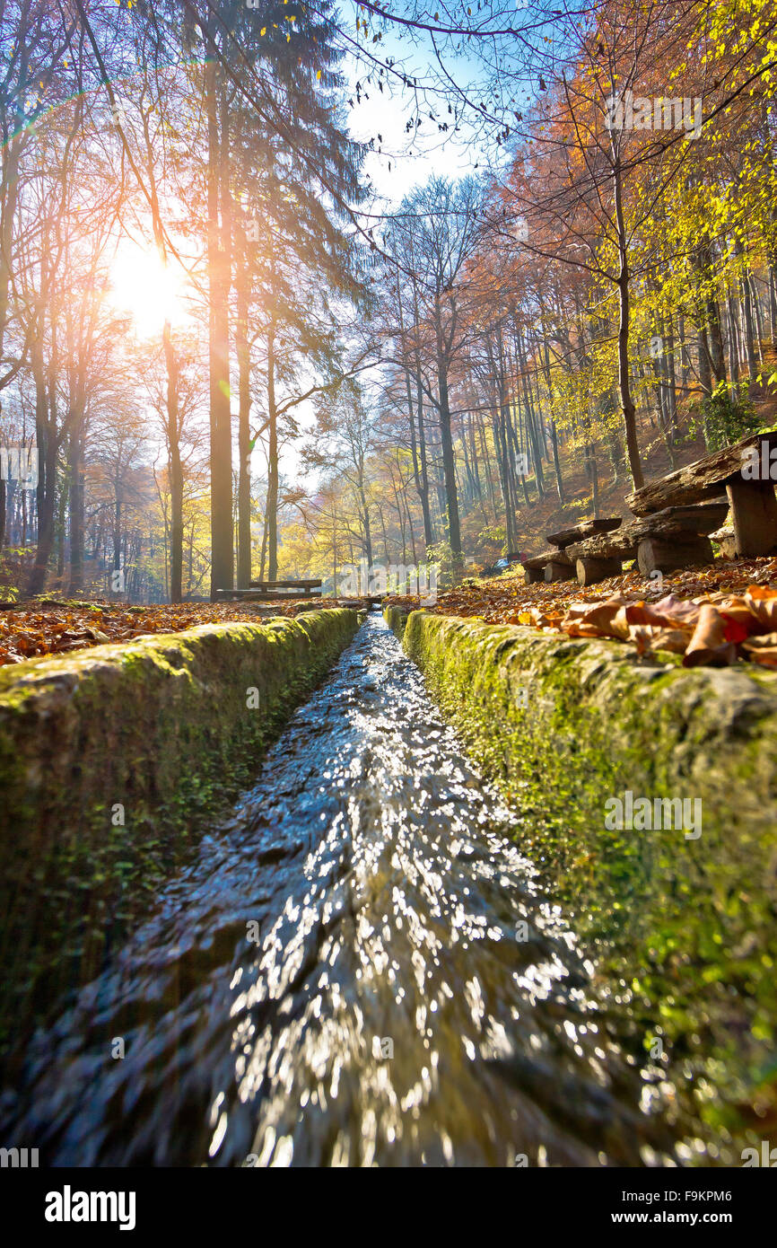 Medvednica forest hi-res stock photography and images - Alamy