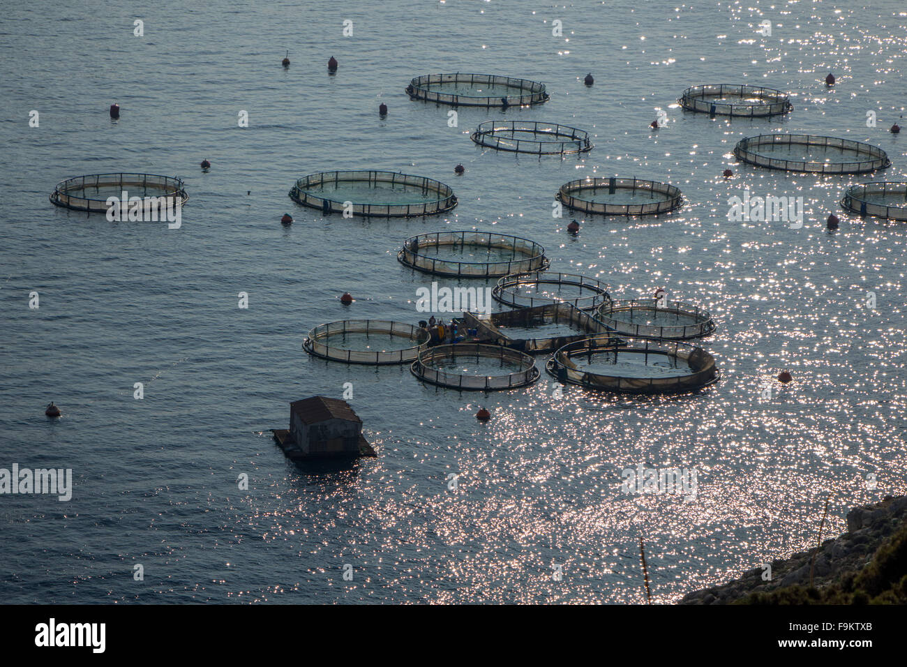 Greek fish farm hi-res stock photography and images - Alamy