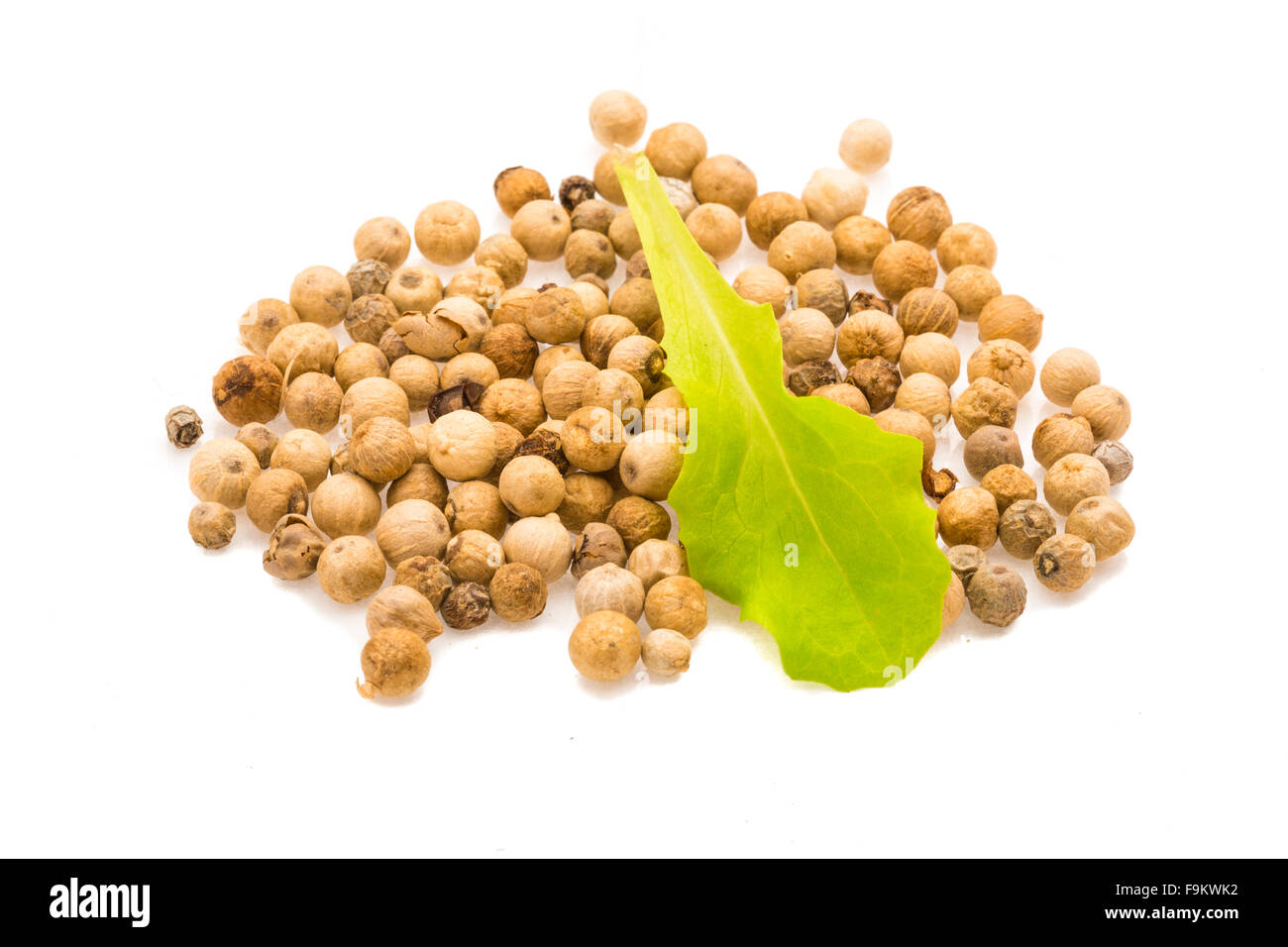 White pepper isolated Stock Photo - Alamy