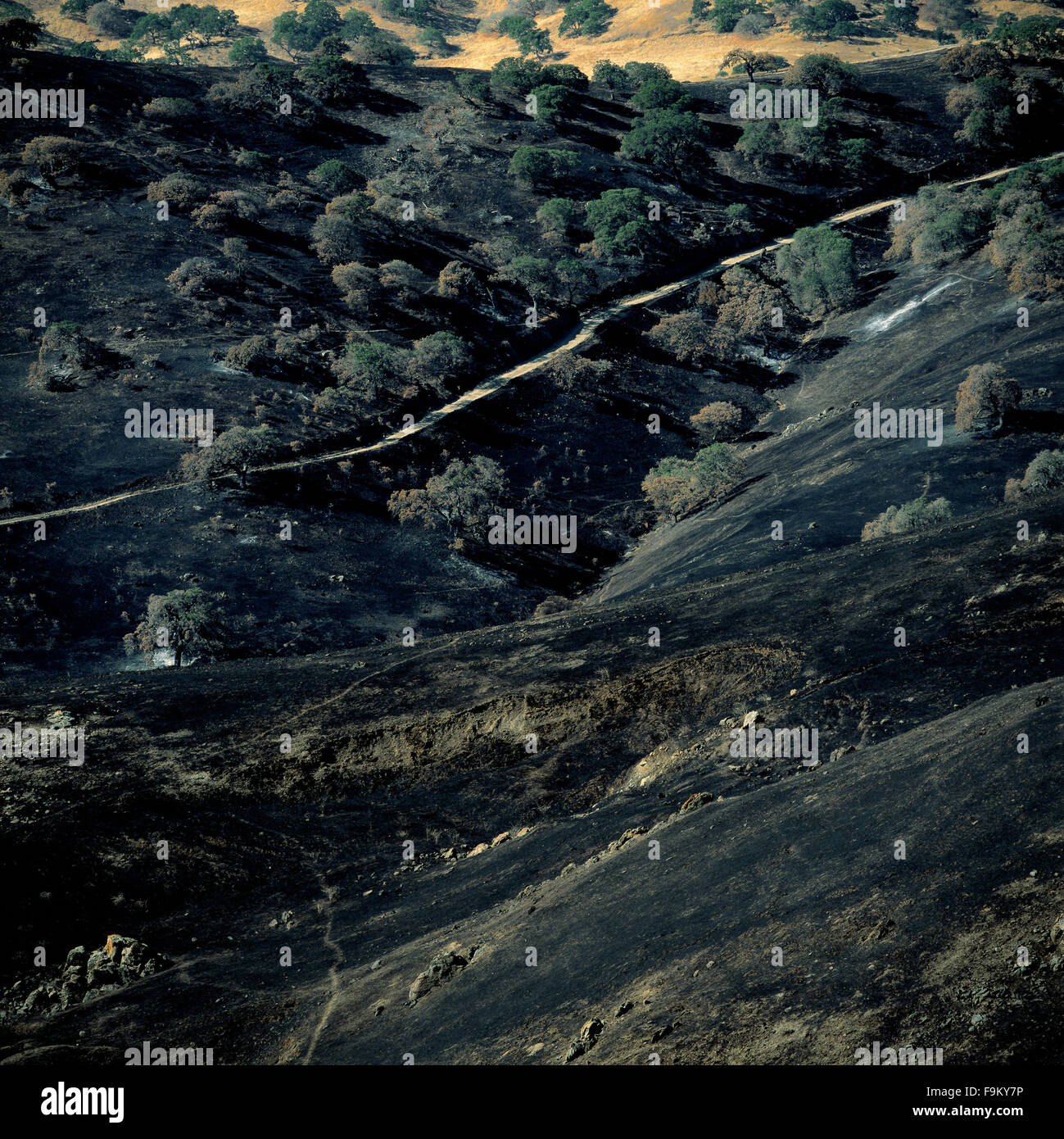 Burned landscape in California Stock Photo - Alamy