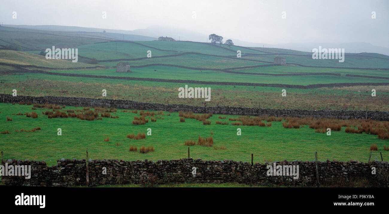 Landscape, Yorkshire, England Stock Photo - Alamy