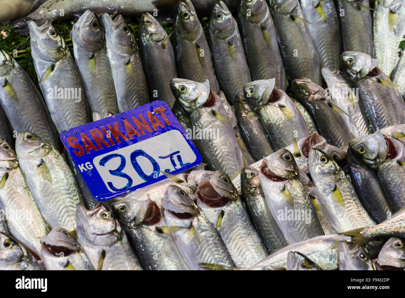 Fish market, Galata waterfront, Istanbul Stock Photo - Alamy