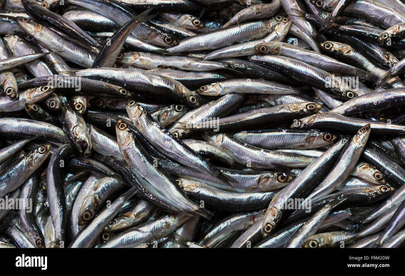 Fish market, Galata waterfront, Istanbul Stock Photo - Alamy