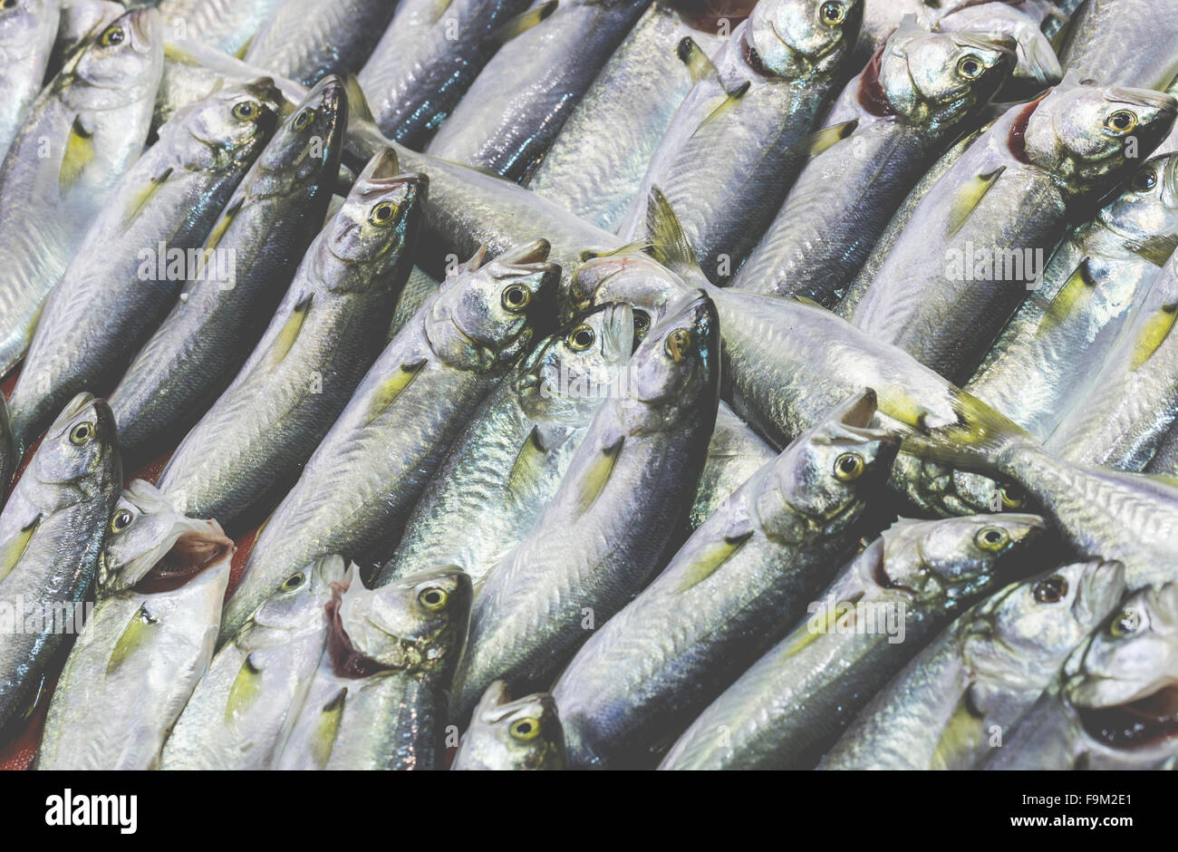 Fish market, Galata waterfront, Istanbul Stock Photo - Alamy