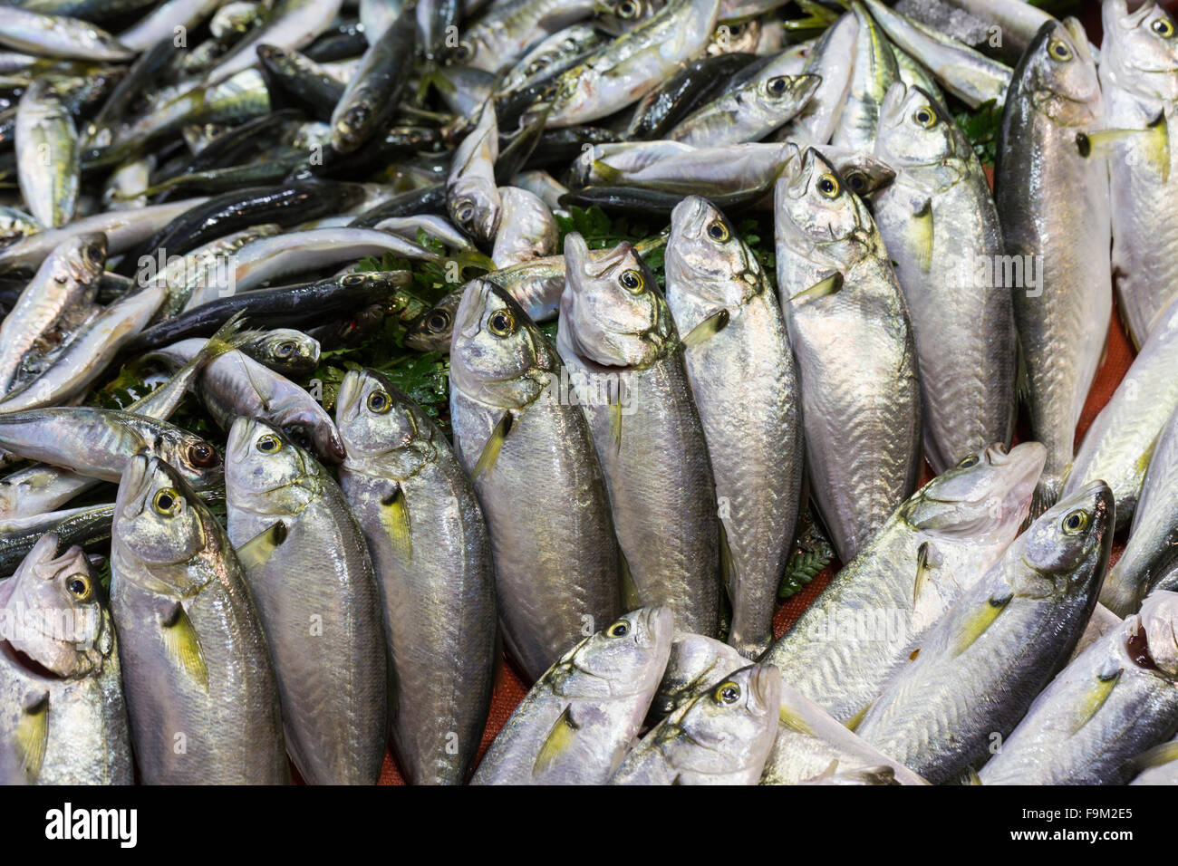 Fish market, Galata waterfront, Istanbul Stock Photo - Alamy