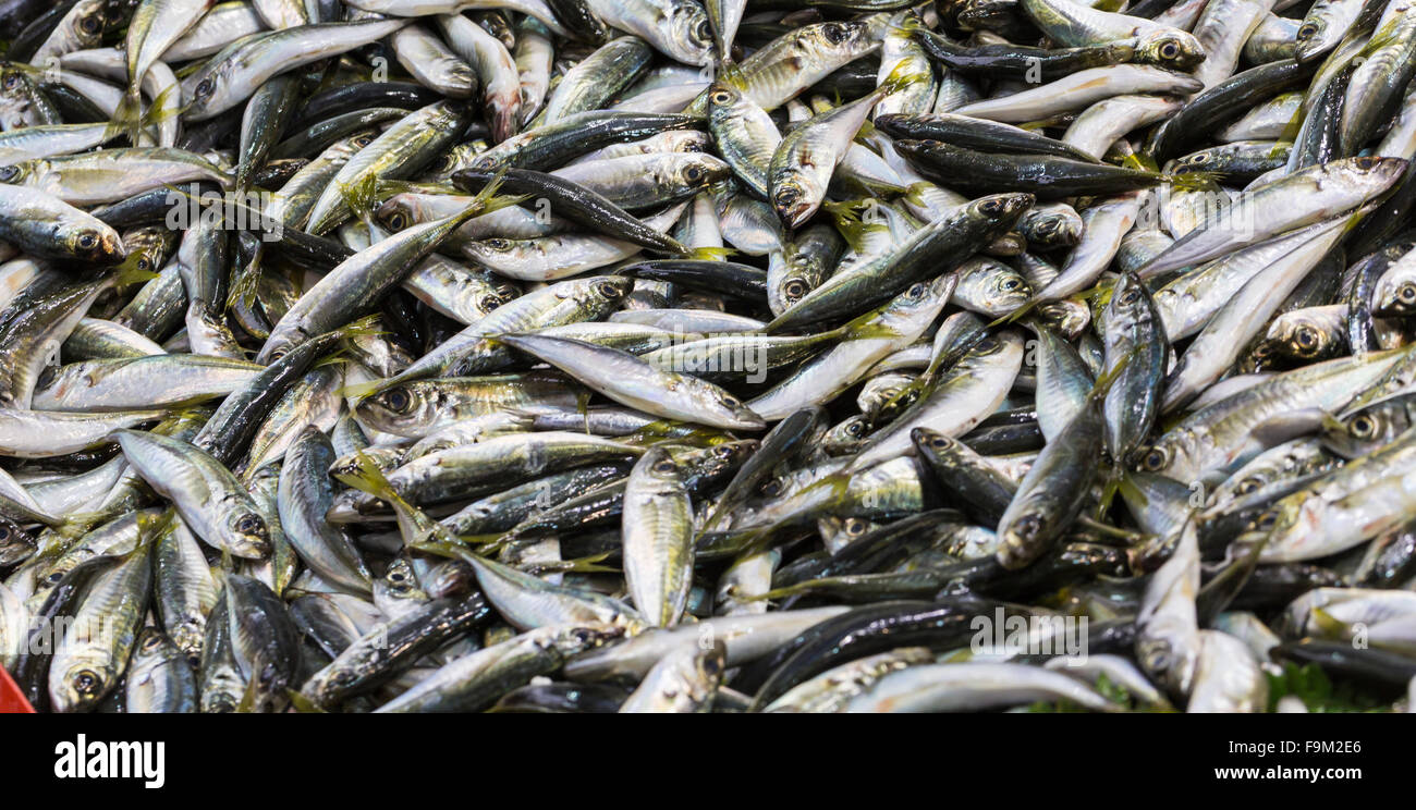 Fish market, Galata waterfront, Istanbul Stock Photo - Alamy