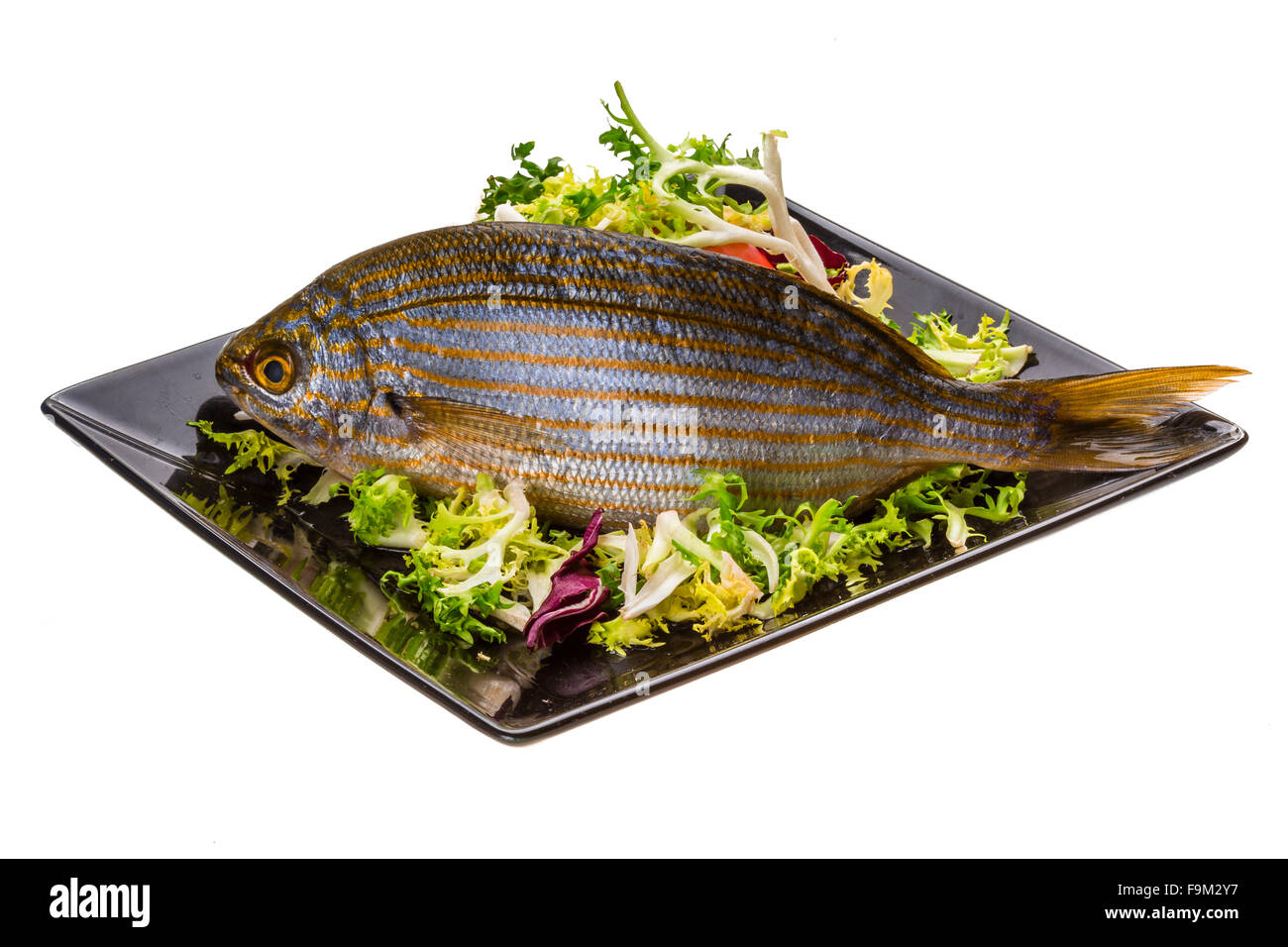 Salema porgy - sarpa fish Stock Photo - Alamy