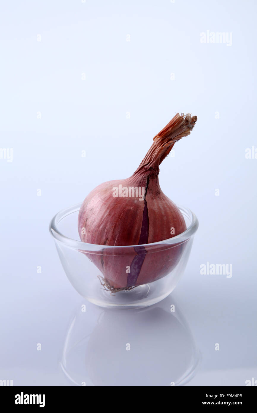 whole onion in a transparent glass bowl Stock Photo - Alamy
