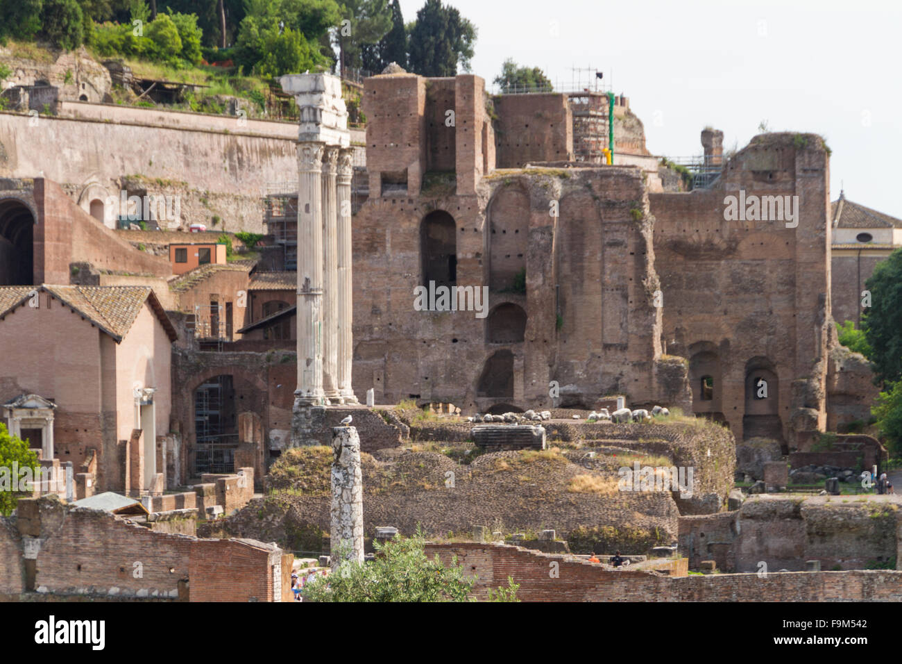 Ancient Roman Buildings
