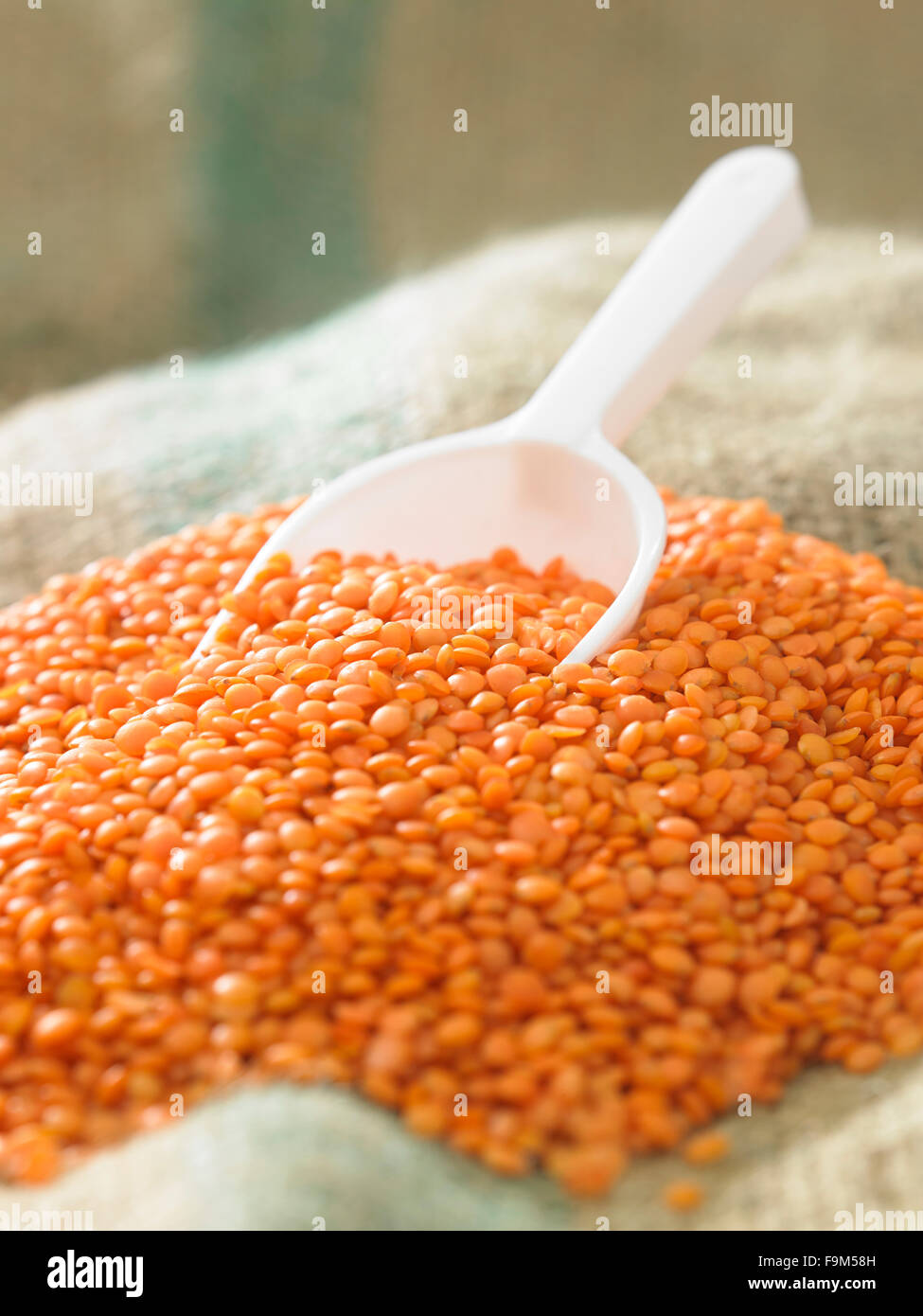 close up of red lentils food background Stock Photo - Alamy