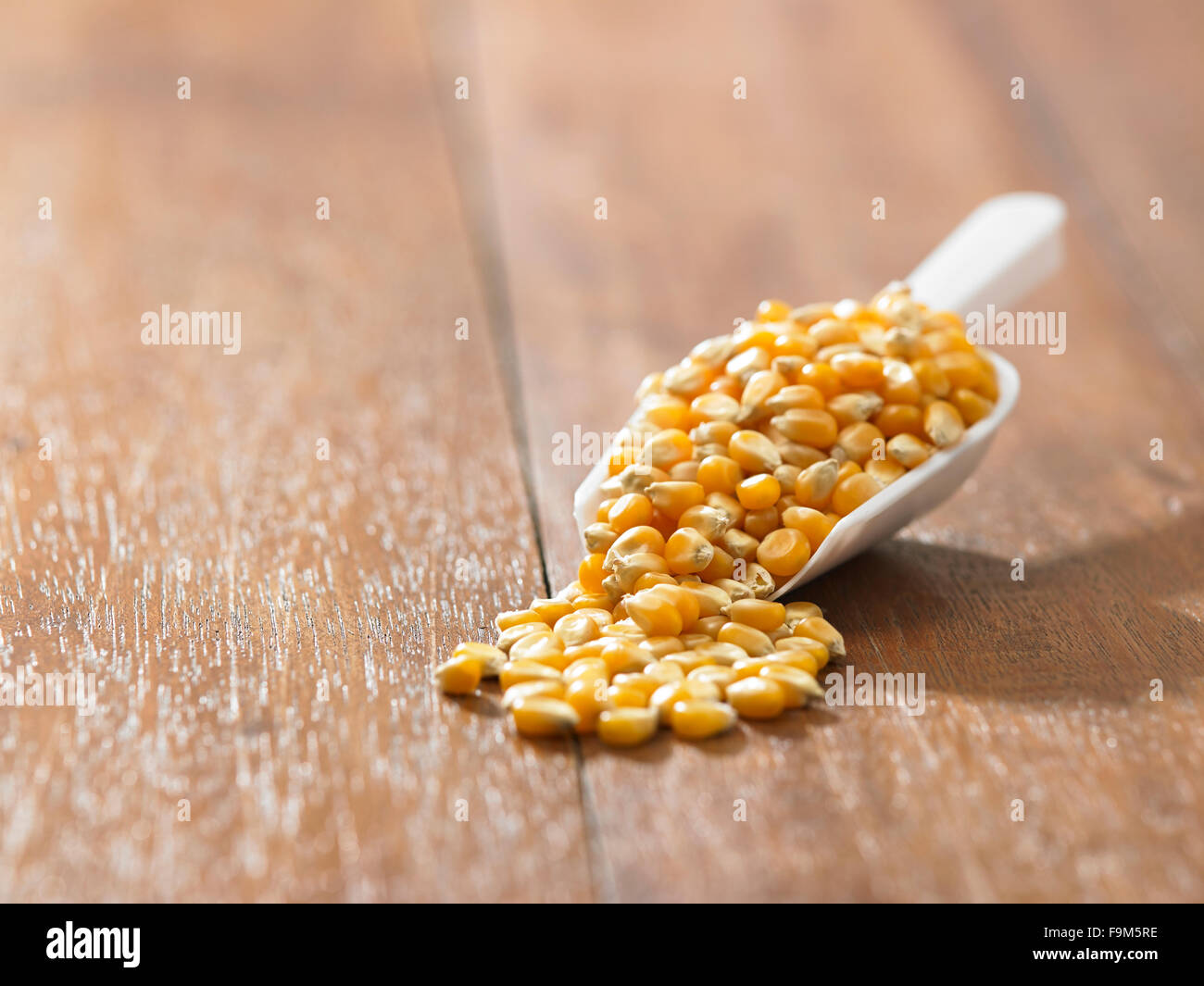 scoop of the maize corn Stock Photo - Alamy