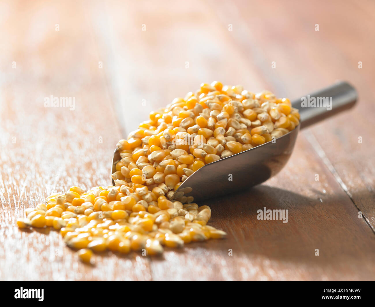 scoop of the maize corn Stock Photo - Alamy