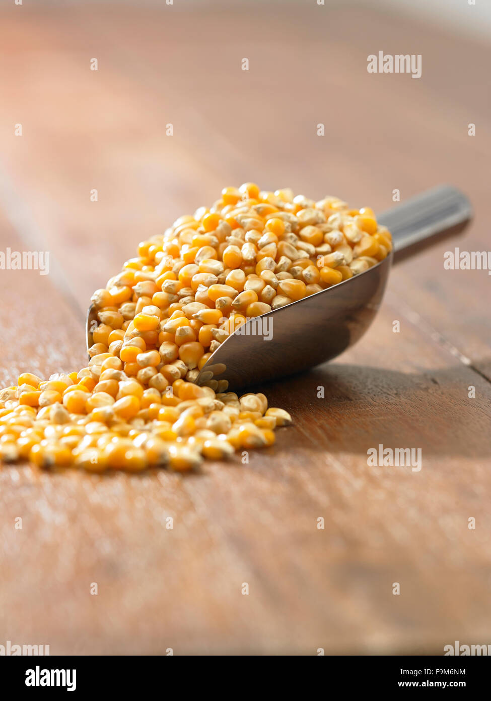 scoop of the maize corn Stock Photo - Alamy