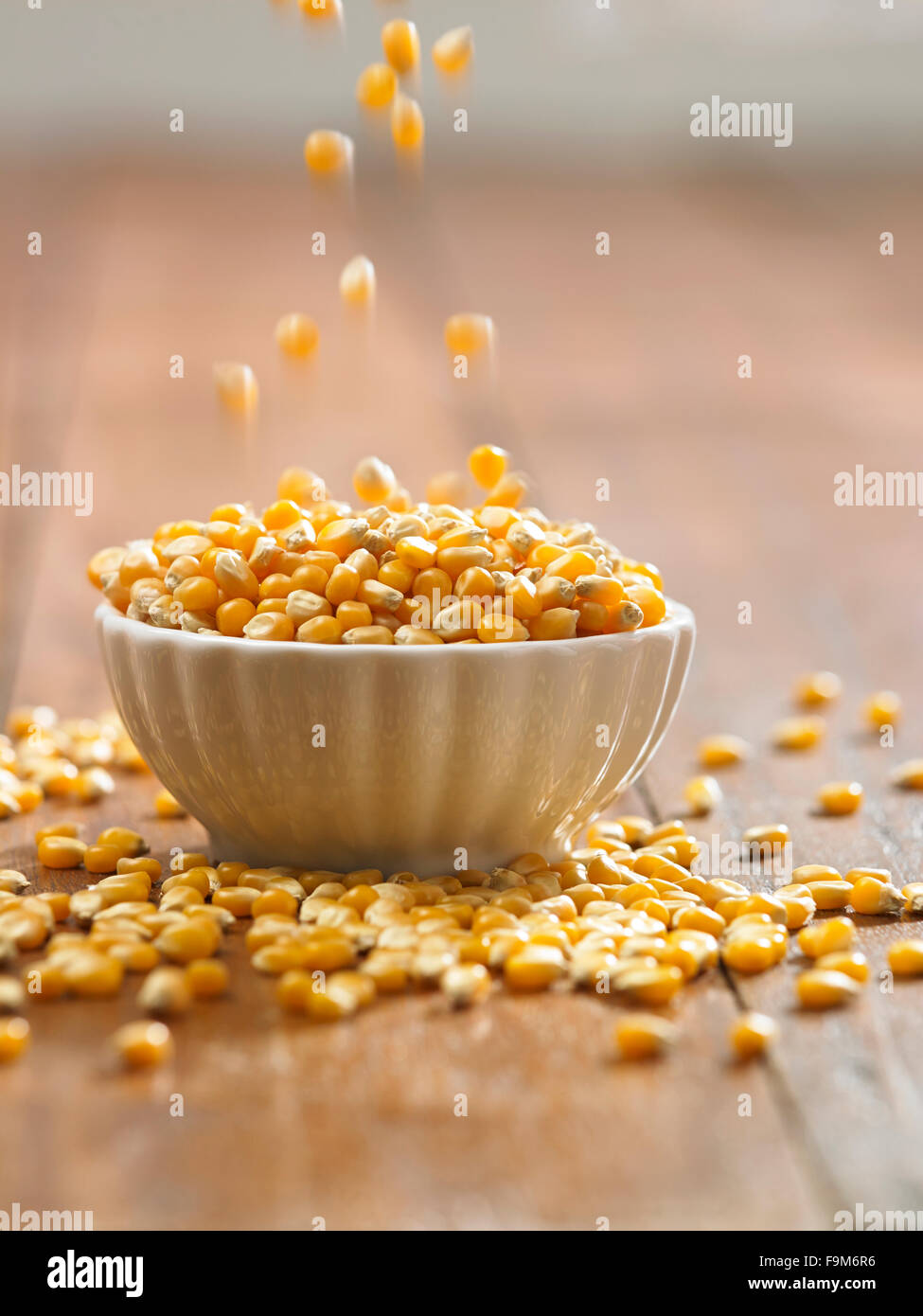 maize corn in a white container Stock Photo - Alamy
