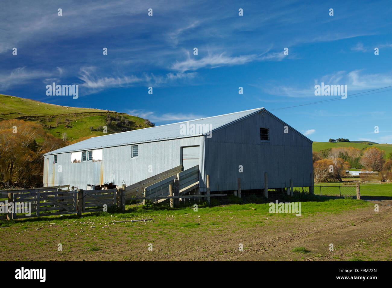 Woolshed on farm in autumn, near Lawrence, Central Otago, South Island ...