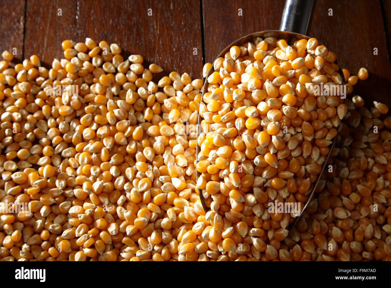 scoop of the maize corn Stock Photo - Alamy