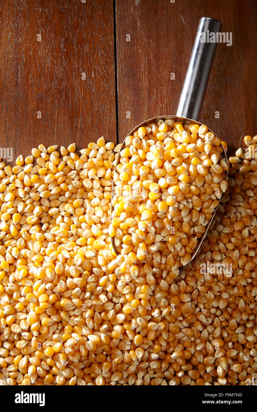 scoop of the maize corn Stock Photo - Alamy