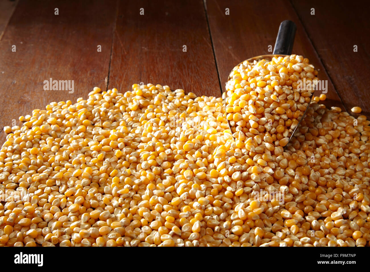 scoop of the maize corn Stock Photo - Alamy