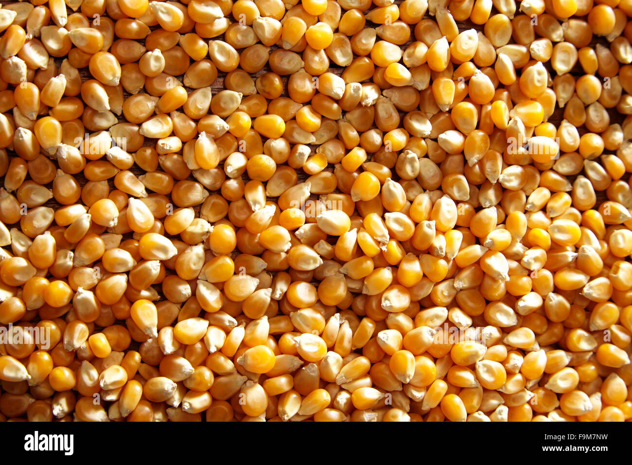 Corn texture hi-res stock photography and images - Alamy