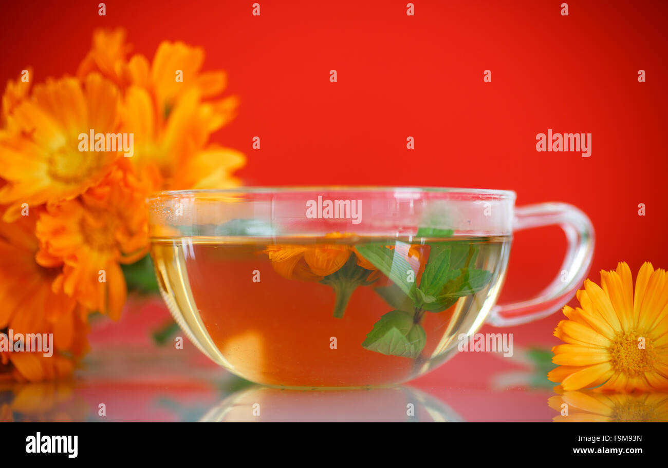 Marigold flowers care hi-res stock photography and images - Alamy