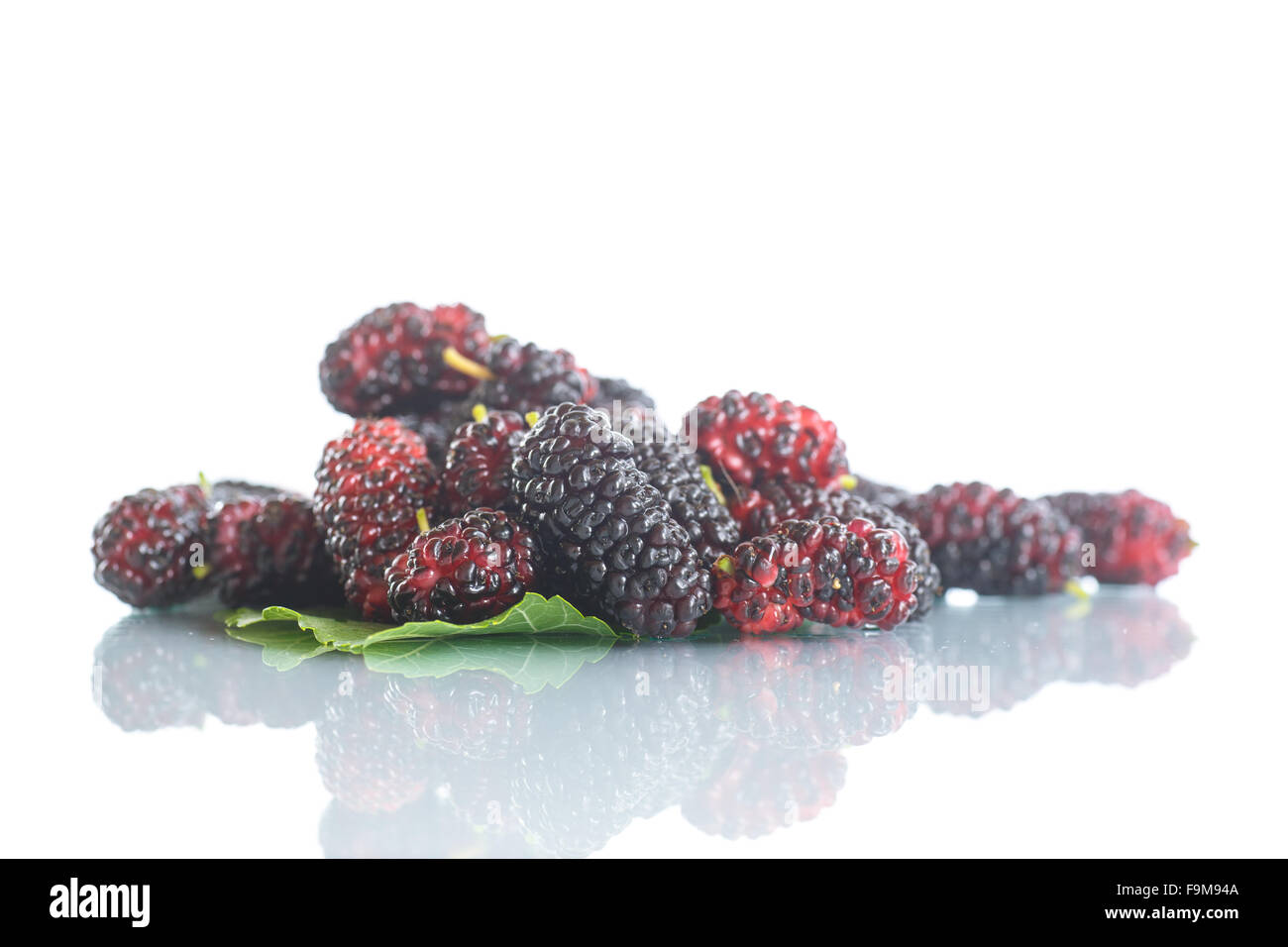 Single mulberry hi-res stock photography and images - Alamy