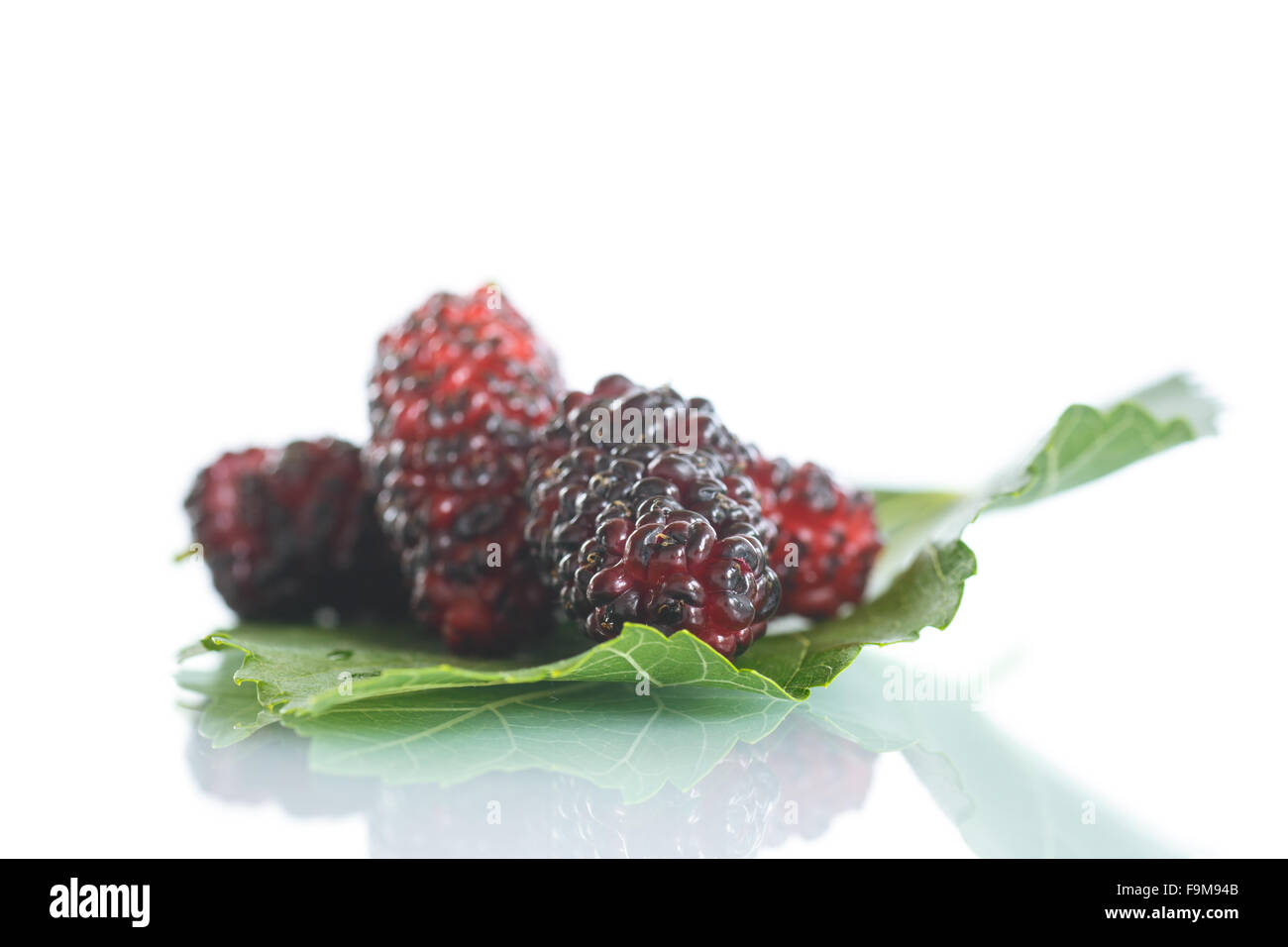 Single mulberry hi-res stock photography and images - Alamy