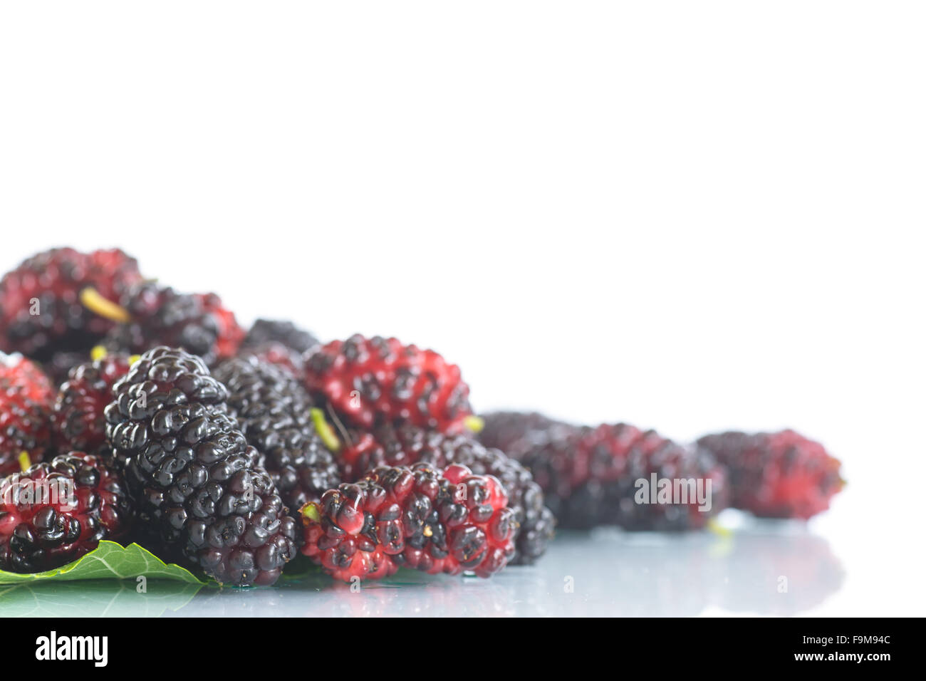 Single mulberry hi-res stock photography and images - Alamy