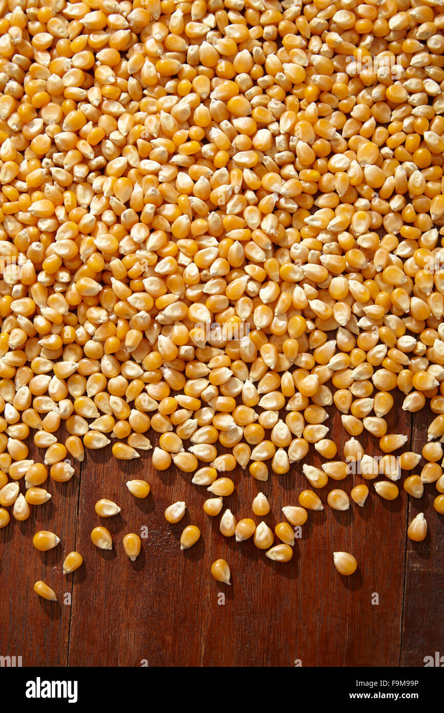 texture of the maize corn Stock Photo - Alamy