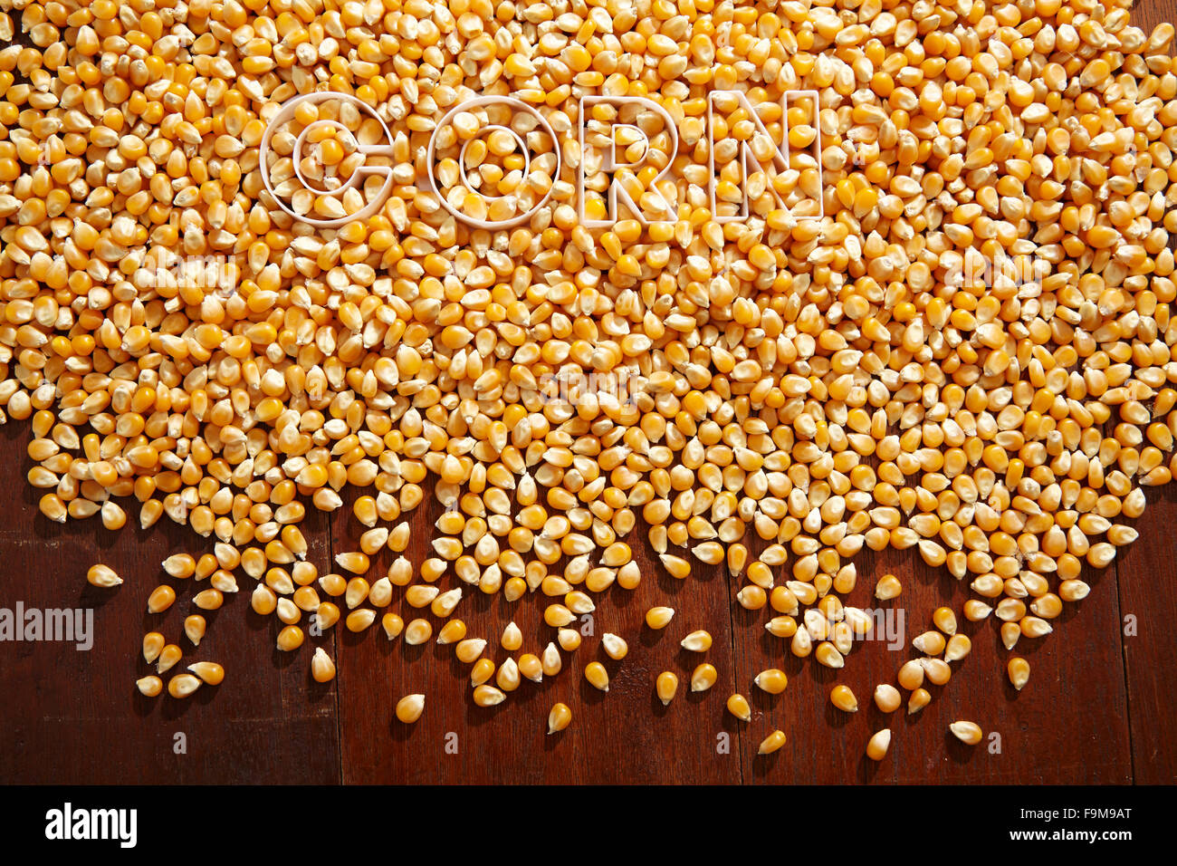 texture of the maize corn Stock Photo - Alamy