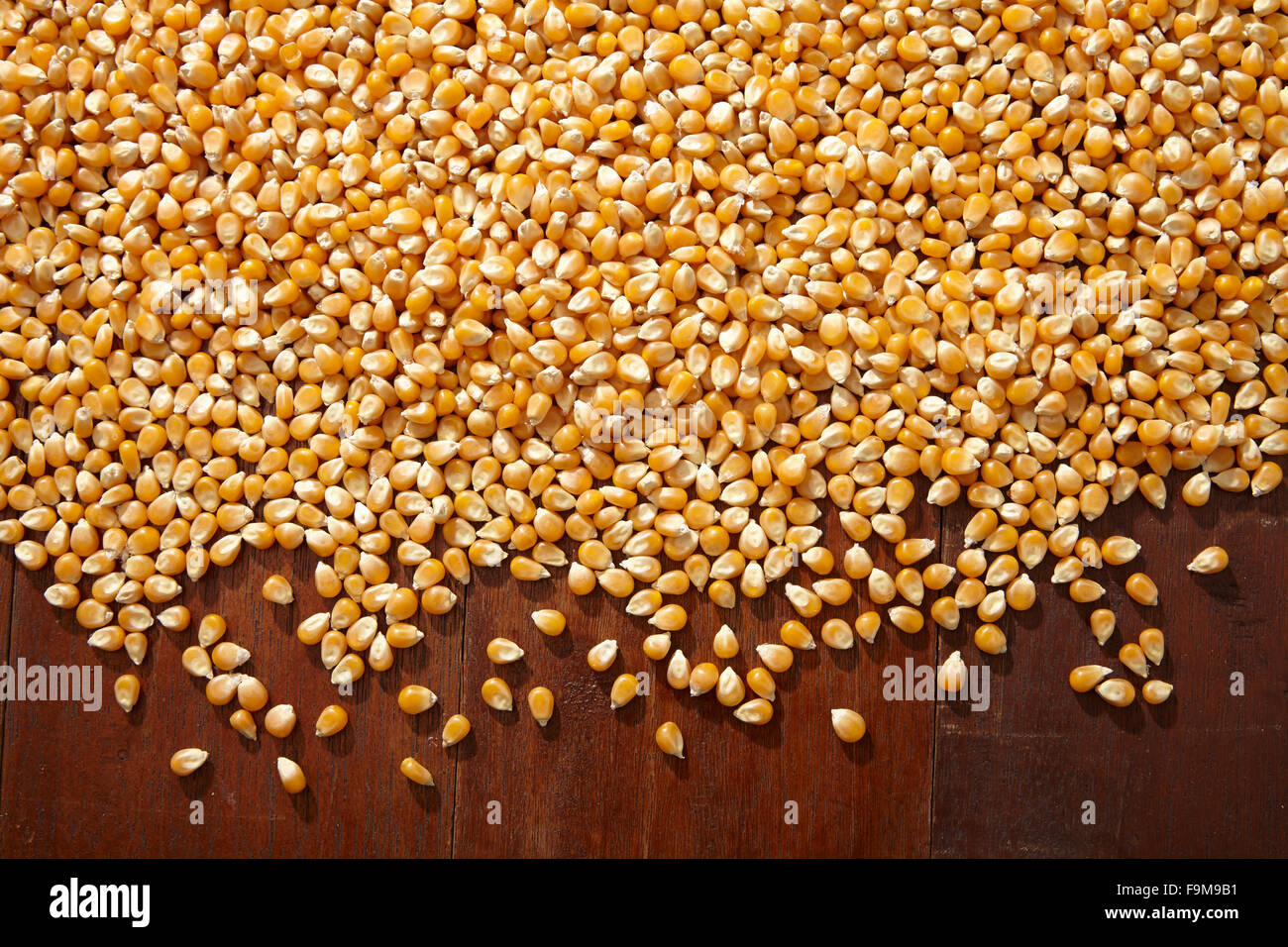 texture of the maize corn Stock Photo - Alamy