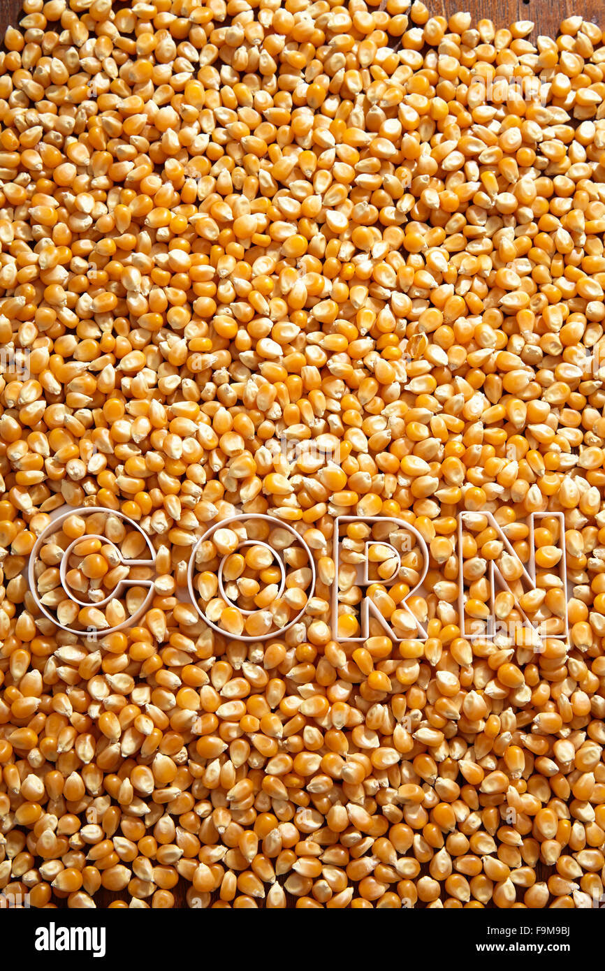 texture of the maize corn Stock Photo - Alamy