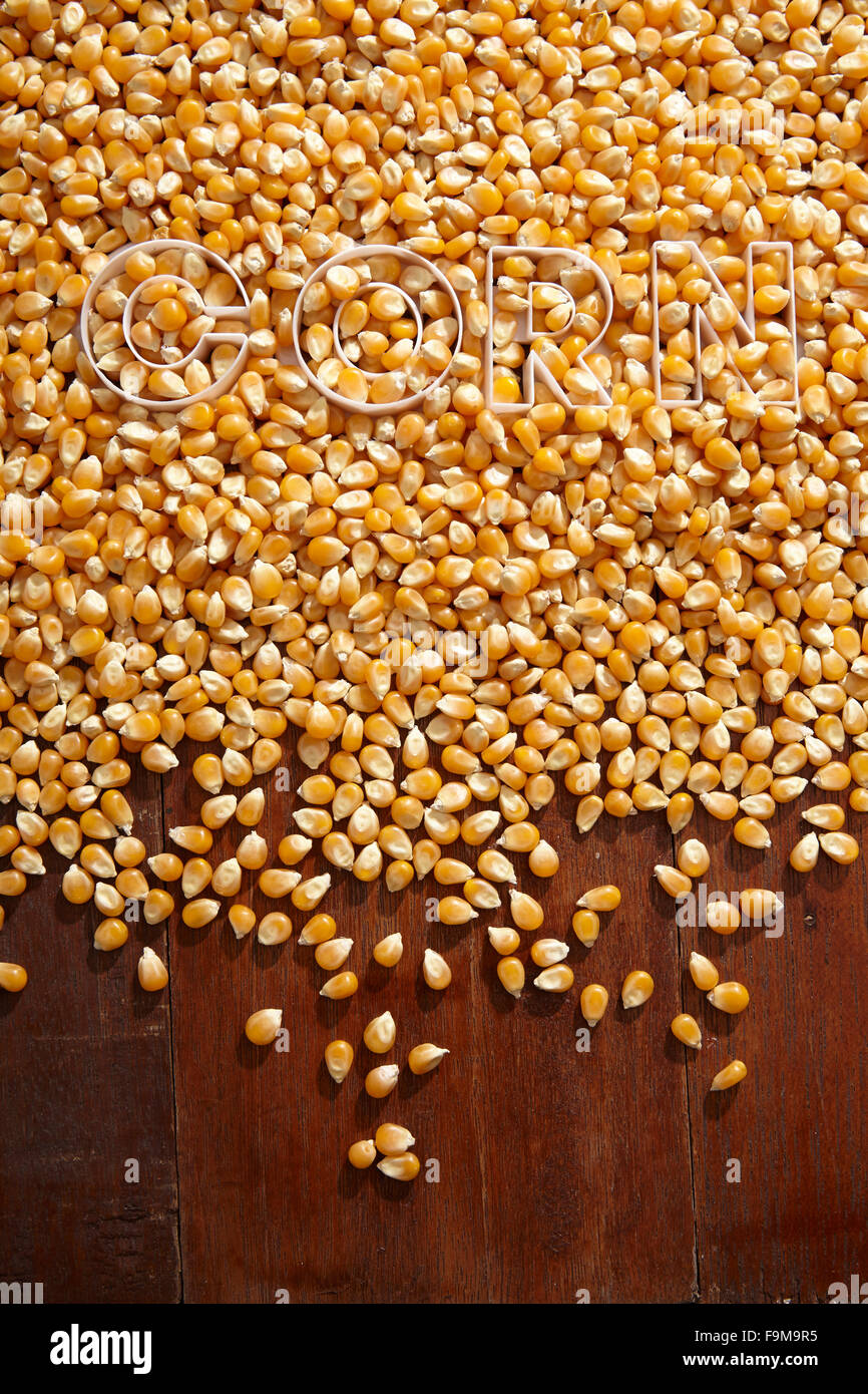 texture of the maize corn Stock Photo - Alamy