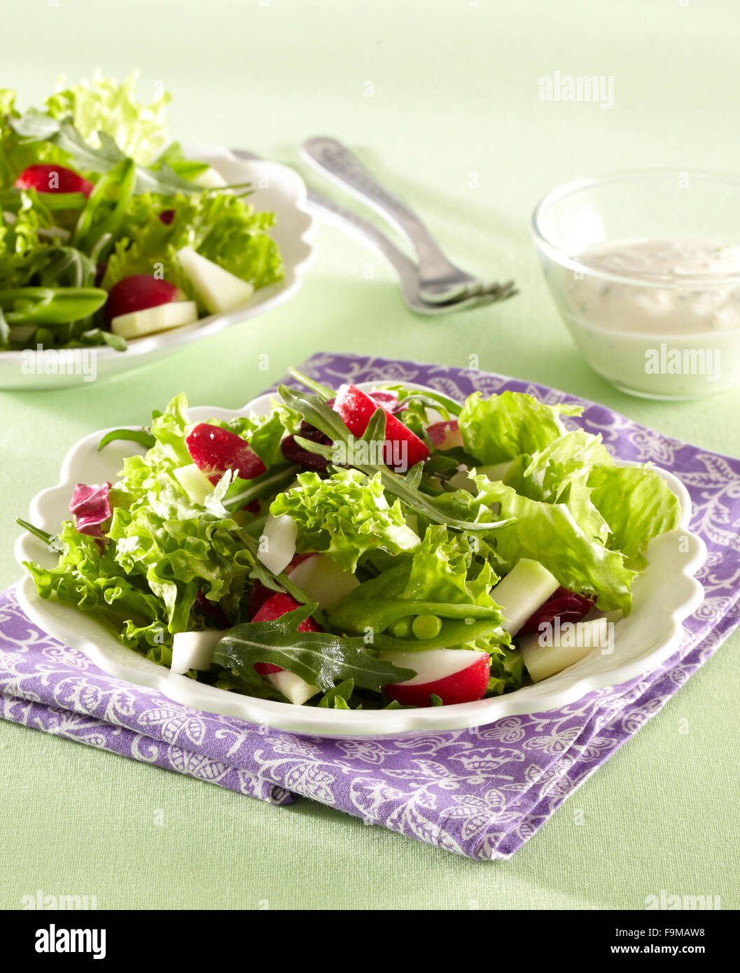 Spring salad with chive lettuce Stock Photo - Alamy