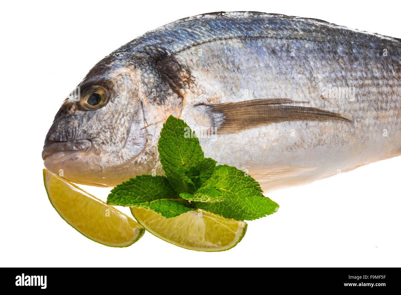 Fresh raw dorada Stock Photo - Alamy