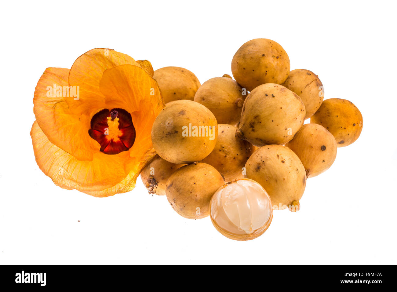 Thai fruit lansium hi-res stock photography and images - Alamy
